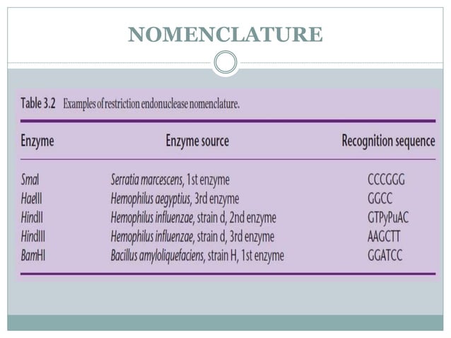 Restriction Modification System Types Of Restriction Enzymes Pptx