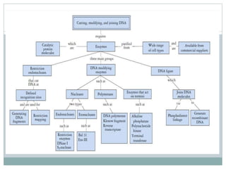 Restriction-Modification system, Types of Restriction enzymes | PPTX