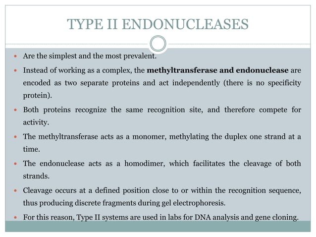 Restriction Modification System Types Of Restriction Enzymes Pptx
