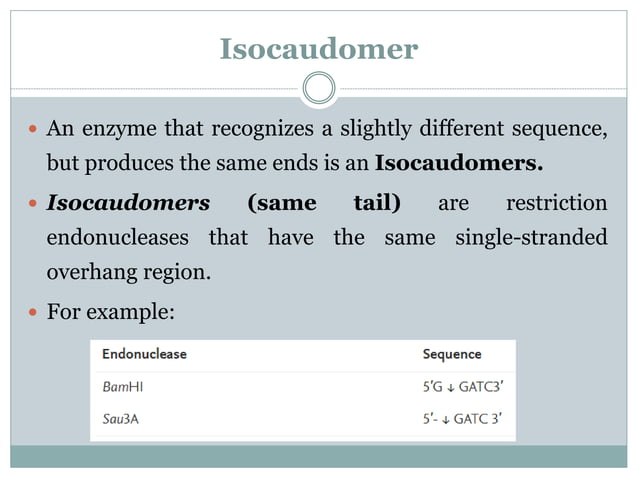 Restriction Modification System Types Of Restriction Enzymes Pptx