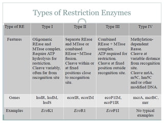 Restriction Enzymes Types