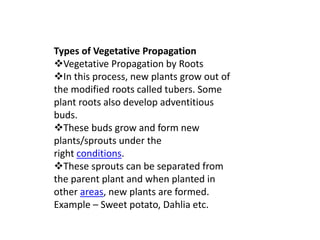 Vegetative propagation | PPTX