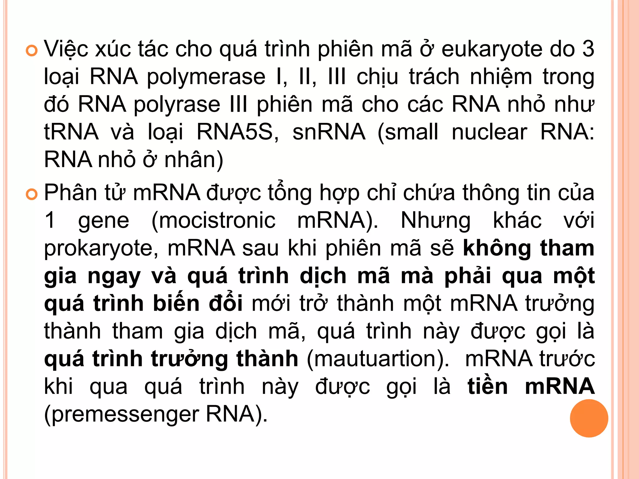 Rna qua trinh phien ma | PPTX