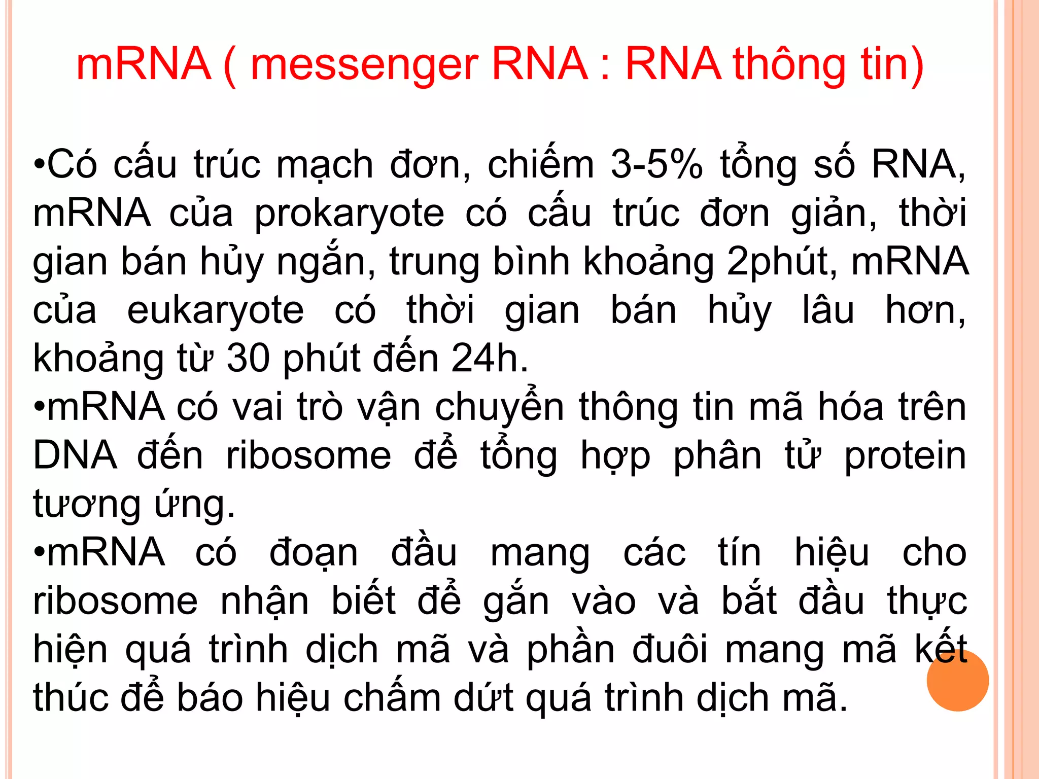 Rna qua trinh phien ma | PPTX