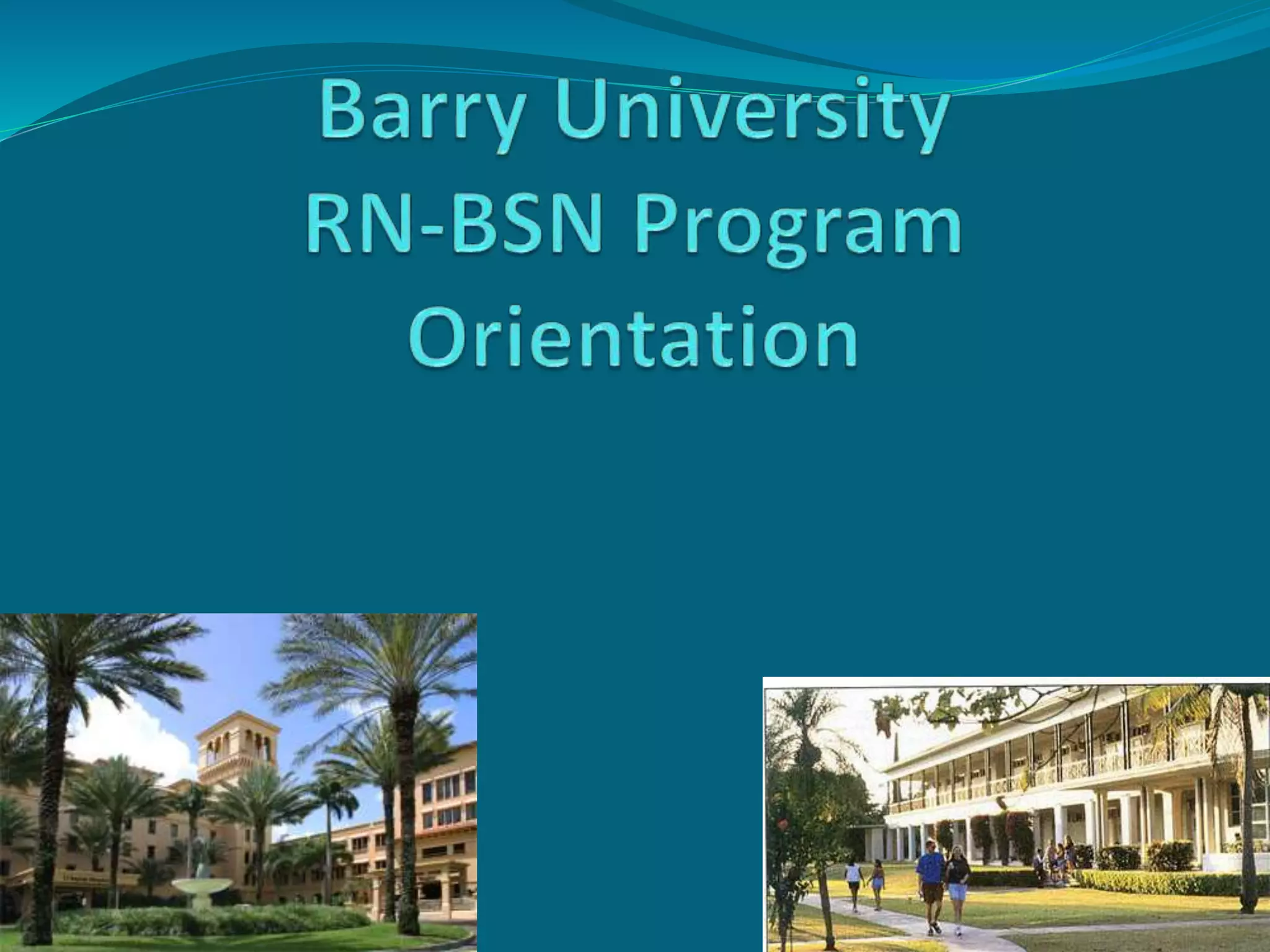 Rn bsn ppt online orientation 2017 | PPTX