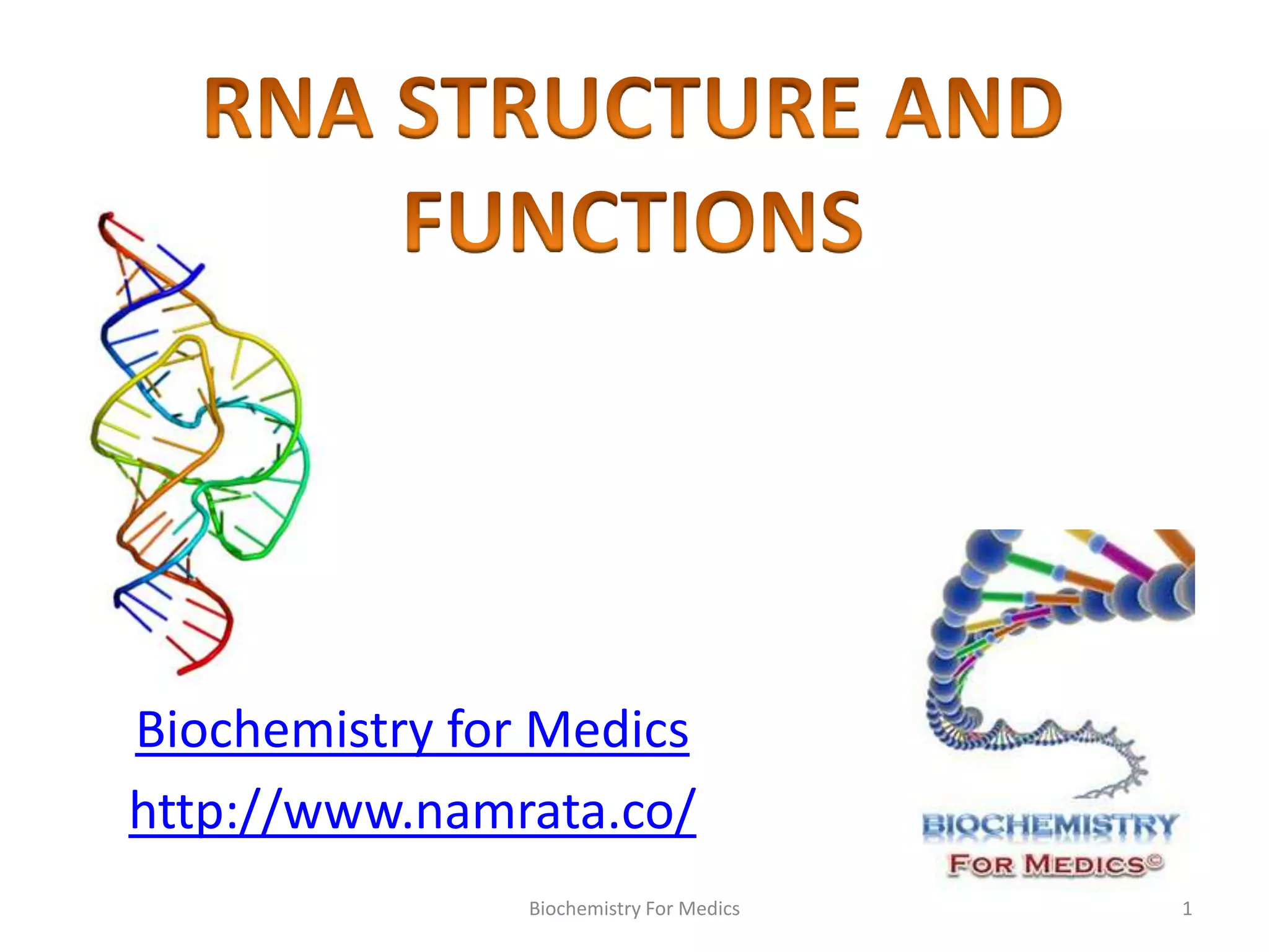RNA- Structure, Types and Functions | PPTX