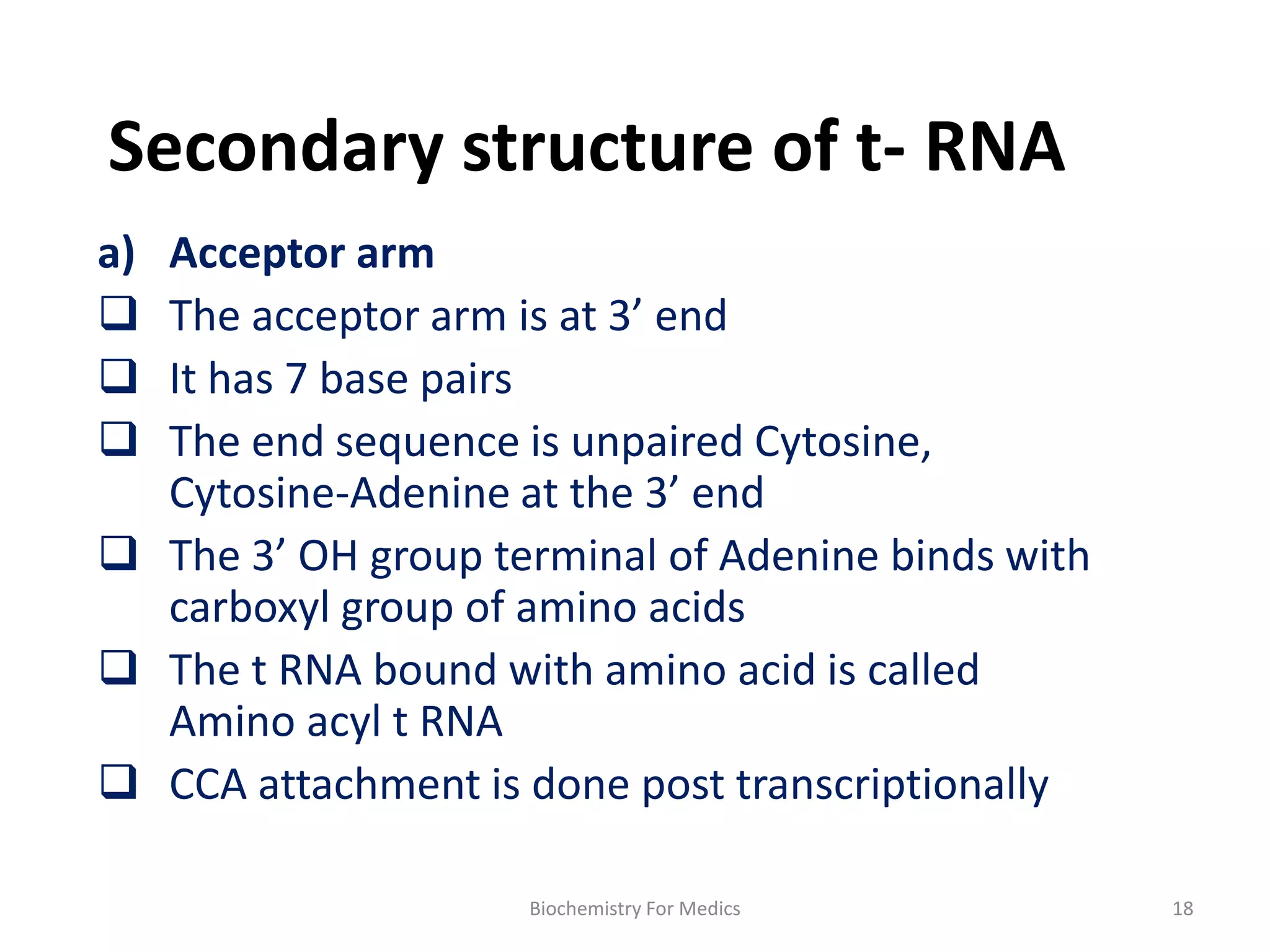 RNA- Structure, Types and Functions | PPTX