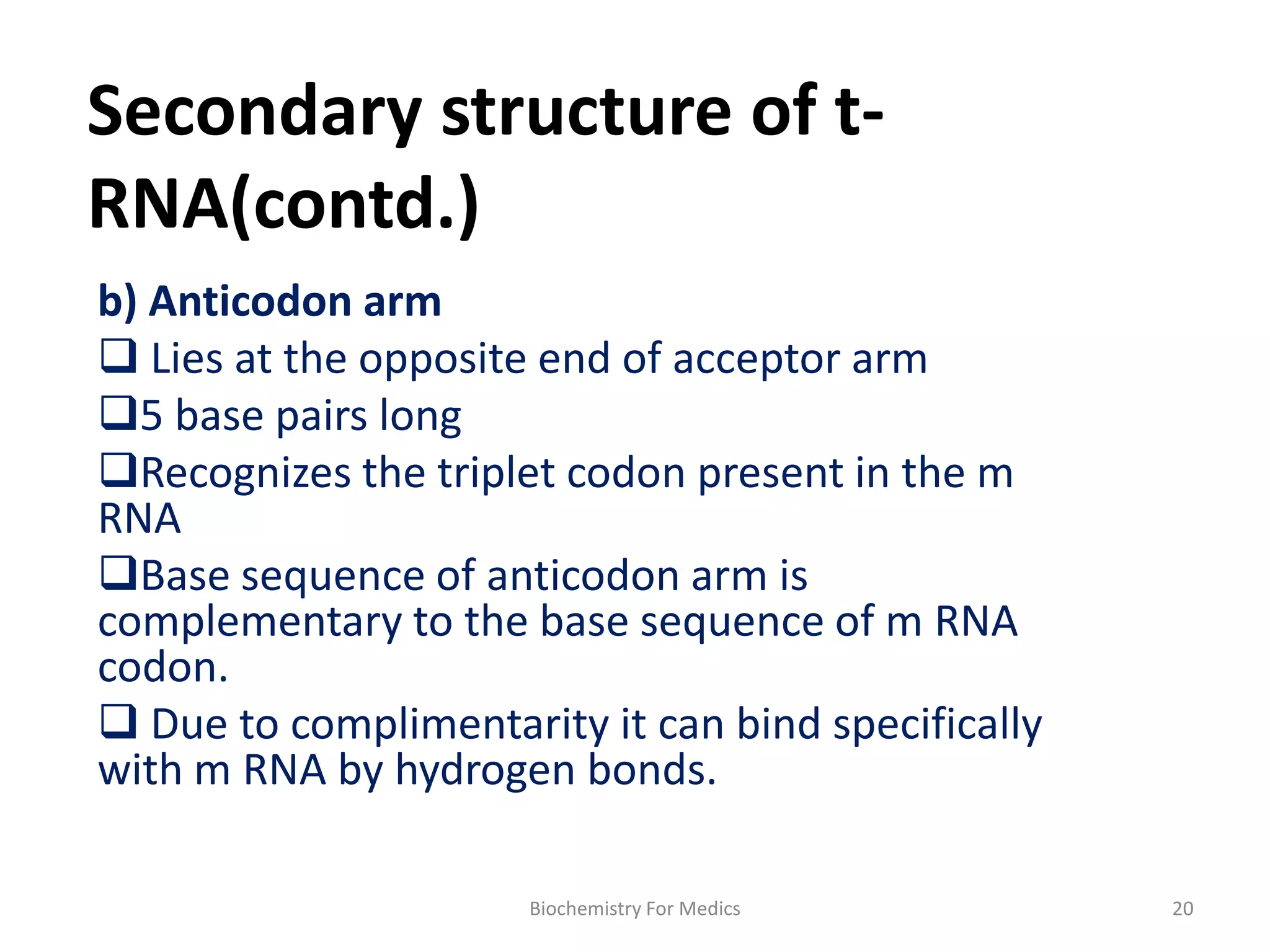 RNA- Structure, Types and Functions | PPTX