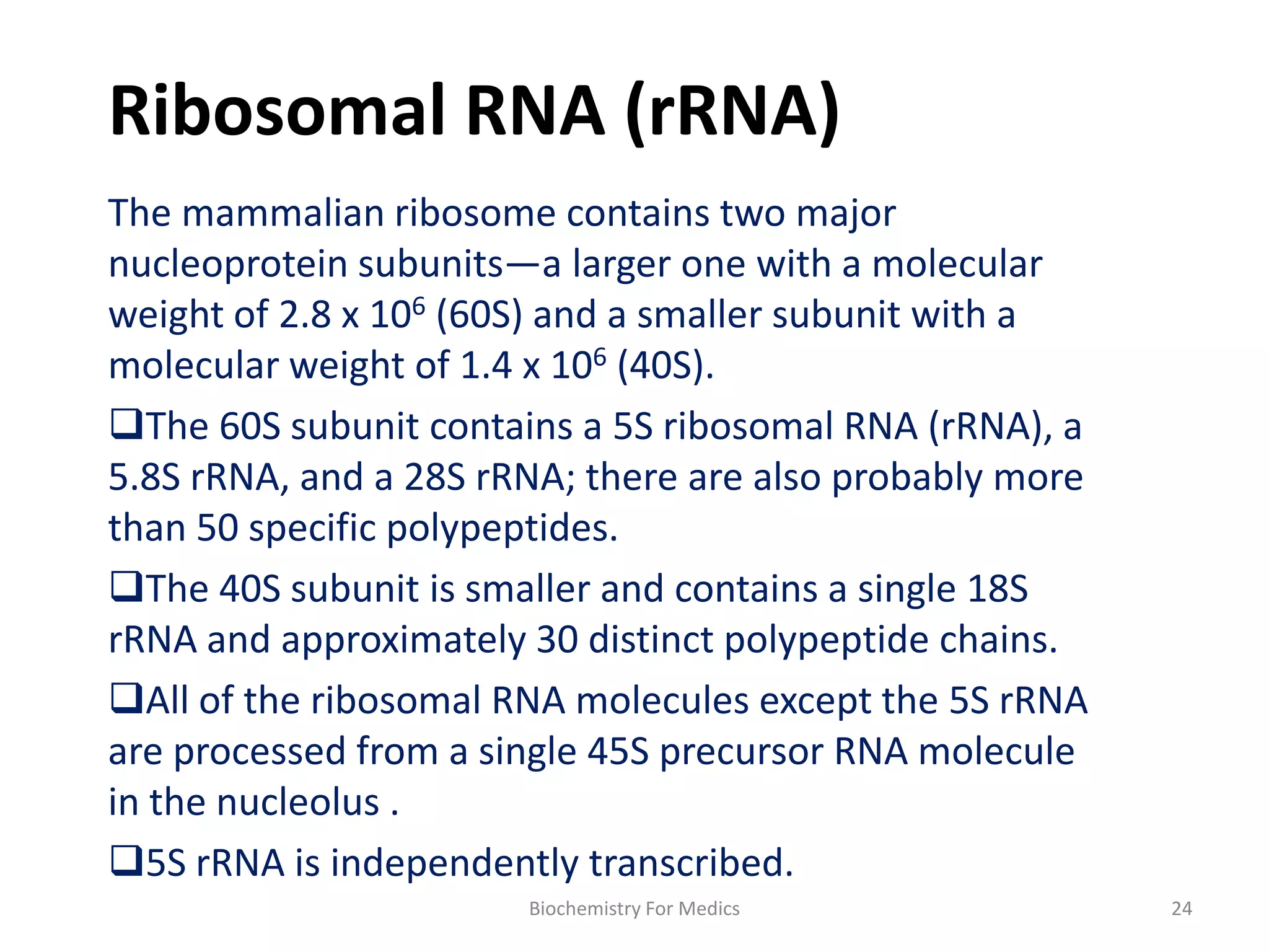 RNA- Structure, Types and Functions | PPTX