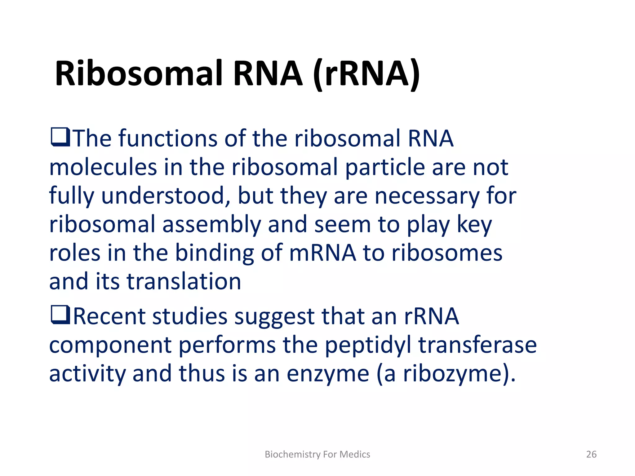 RNA- Structure, Types and Functions | PPTX