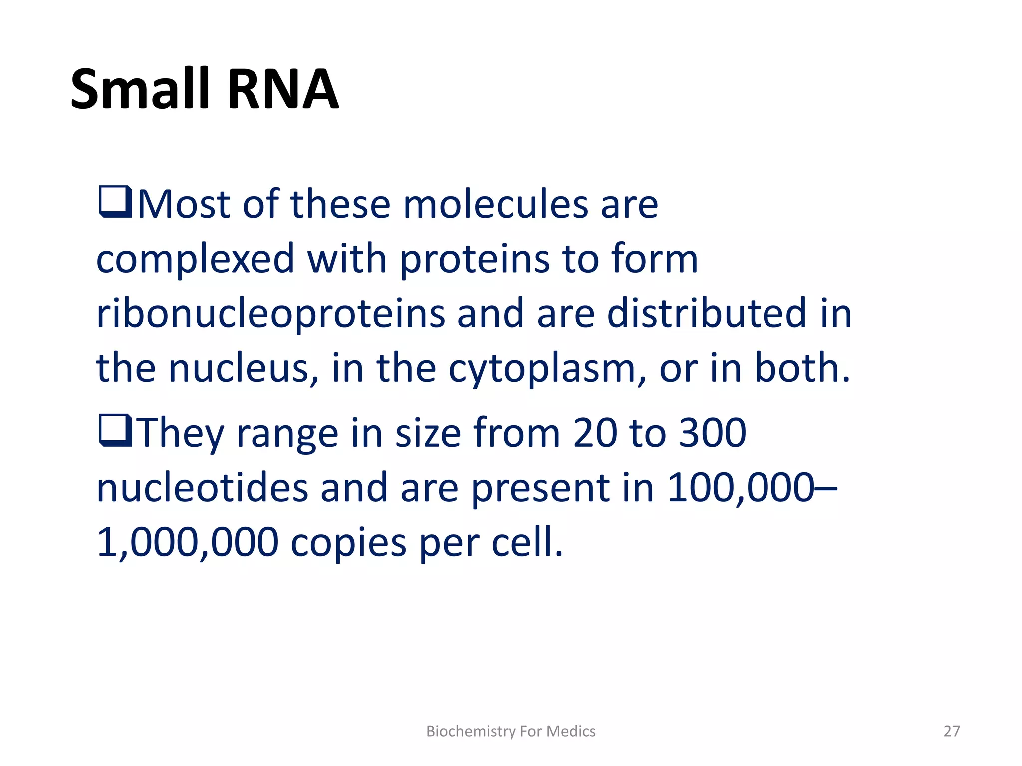 RNA- Structure, Types and Functions | PPTX