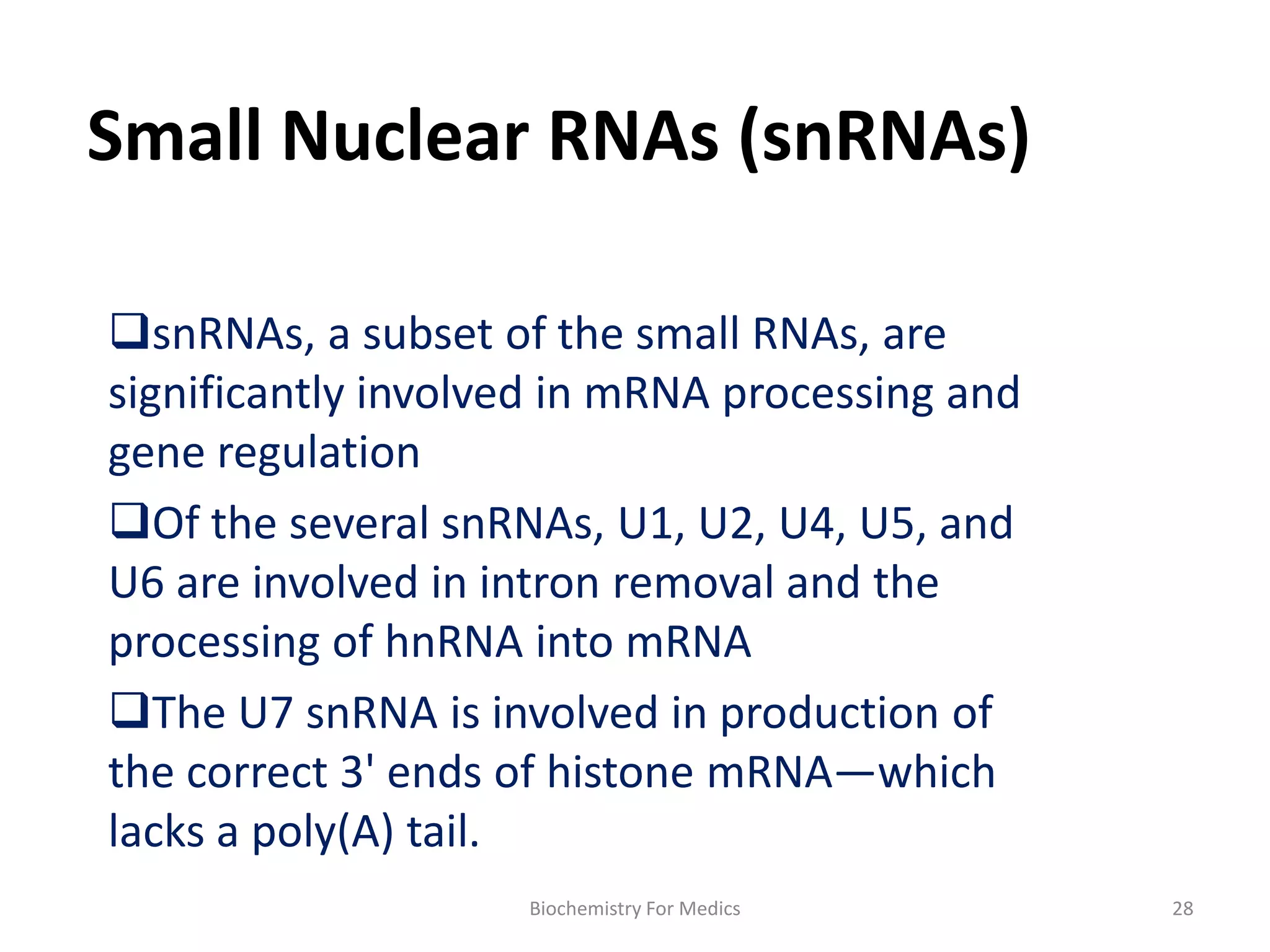RNA- Structure, Types and Functions | PPTX