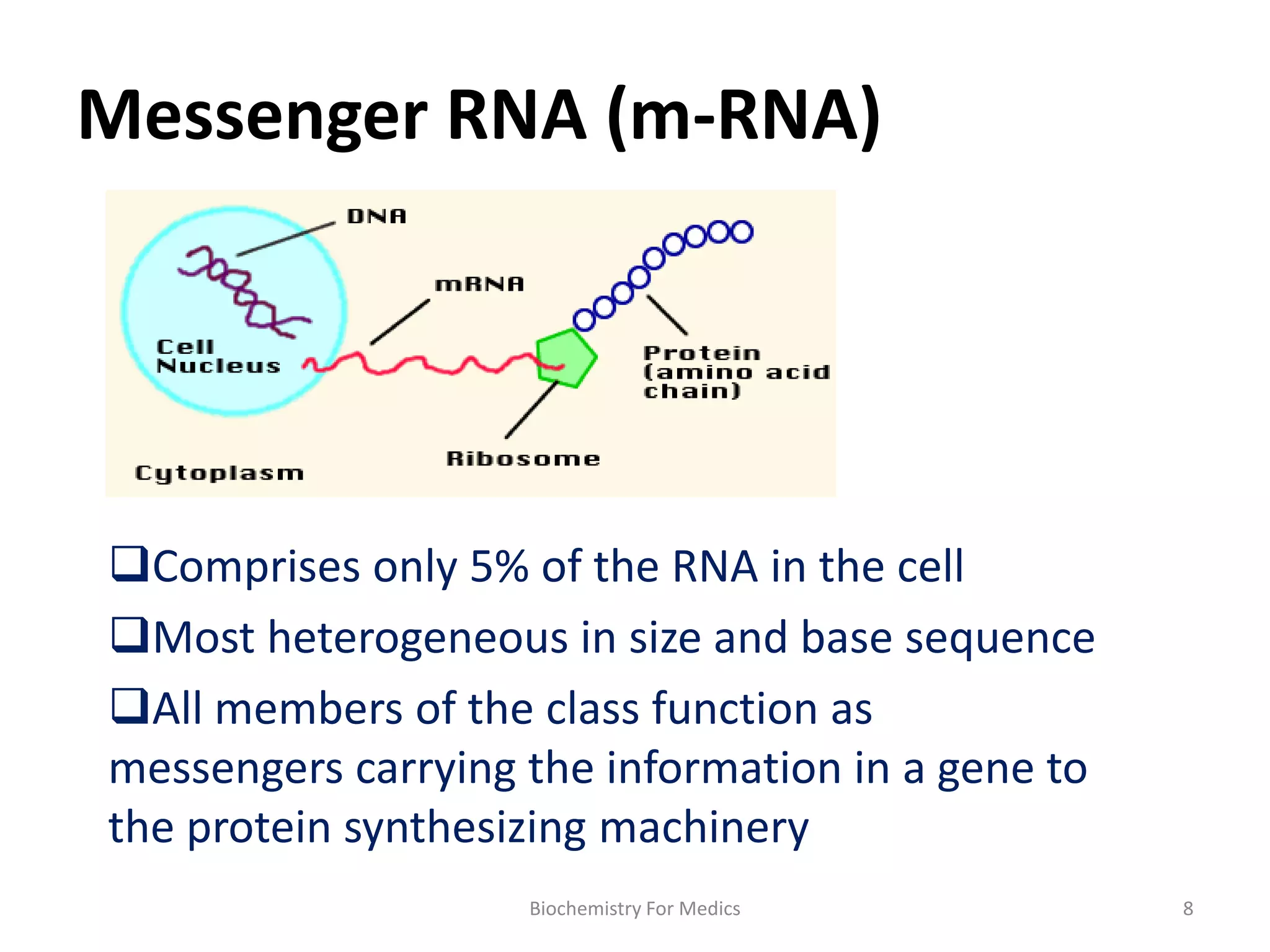 RNA- Structure, Types and Functions | PPTX