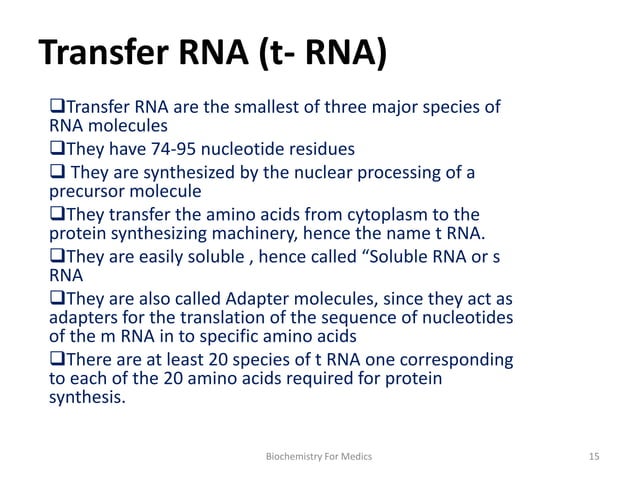 RNA- Structure, Types and Functions | PPTX