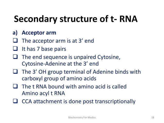 RNA- Structure, Types and Functions | PPTX