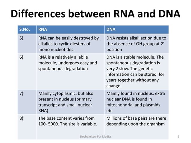 RNA- Structure, Types and Functions | PPTX