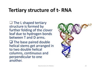 Tertiary Structure Of Rna