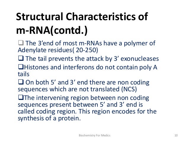 RNA- Structure, Types and Functions