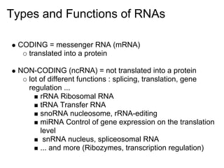 Rna | PDF