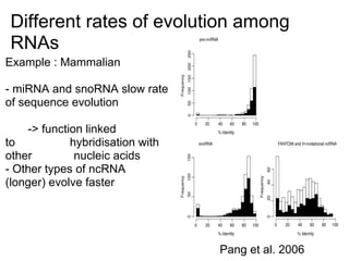 Rna | PDF