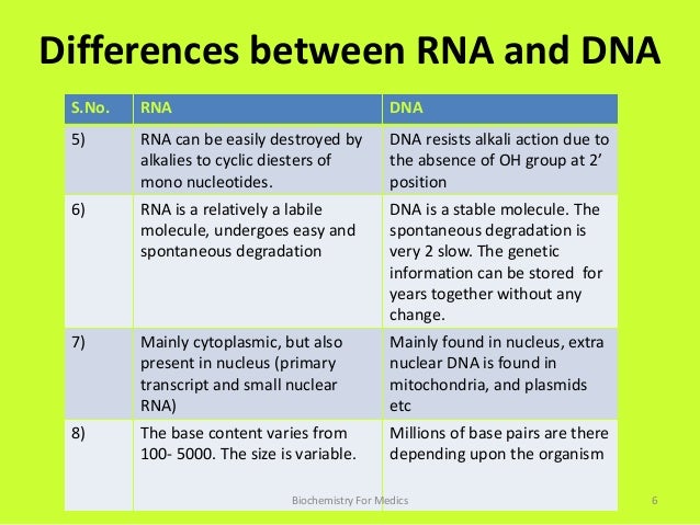 Difference Between Dna And Rna