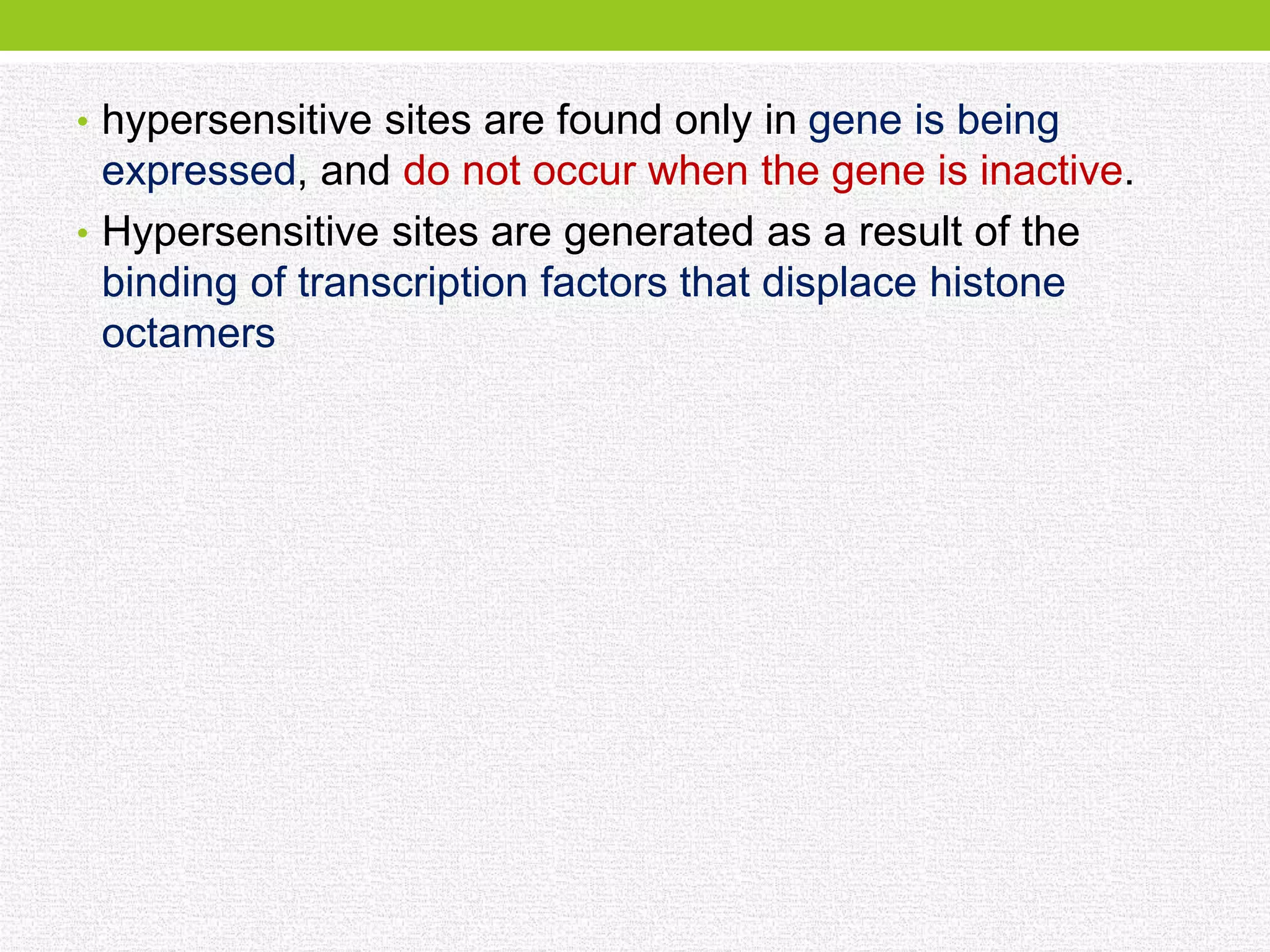 hypersensitive sites, enhancers and blockers of RNA synthesis | PPTX