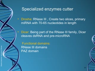 RNA interference in Biology and medicine | PPT