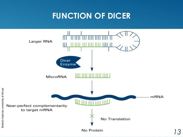 RNA interference in Biology and medicine