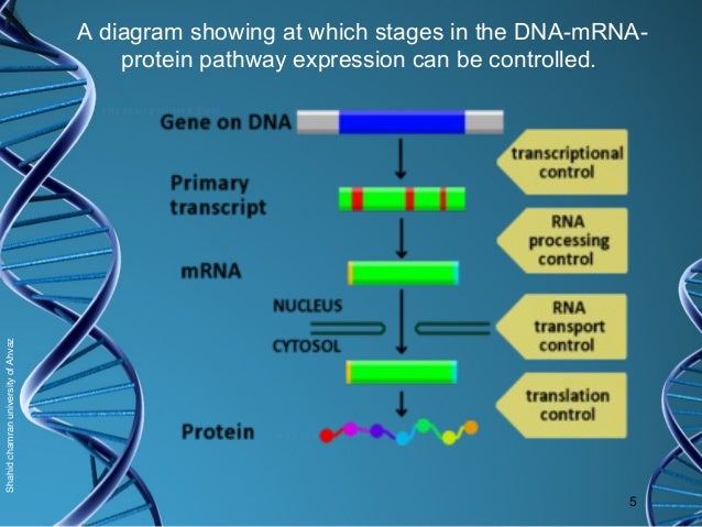 RNA interferencev in Biologyv and medicine