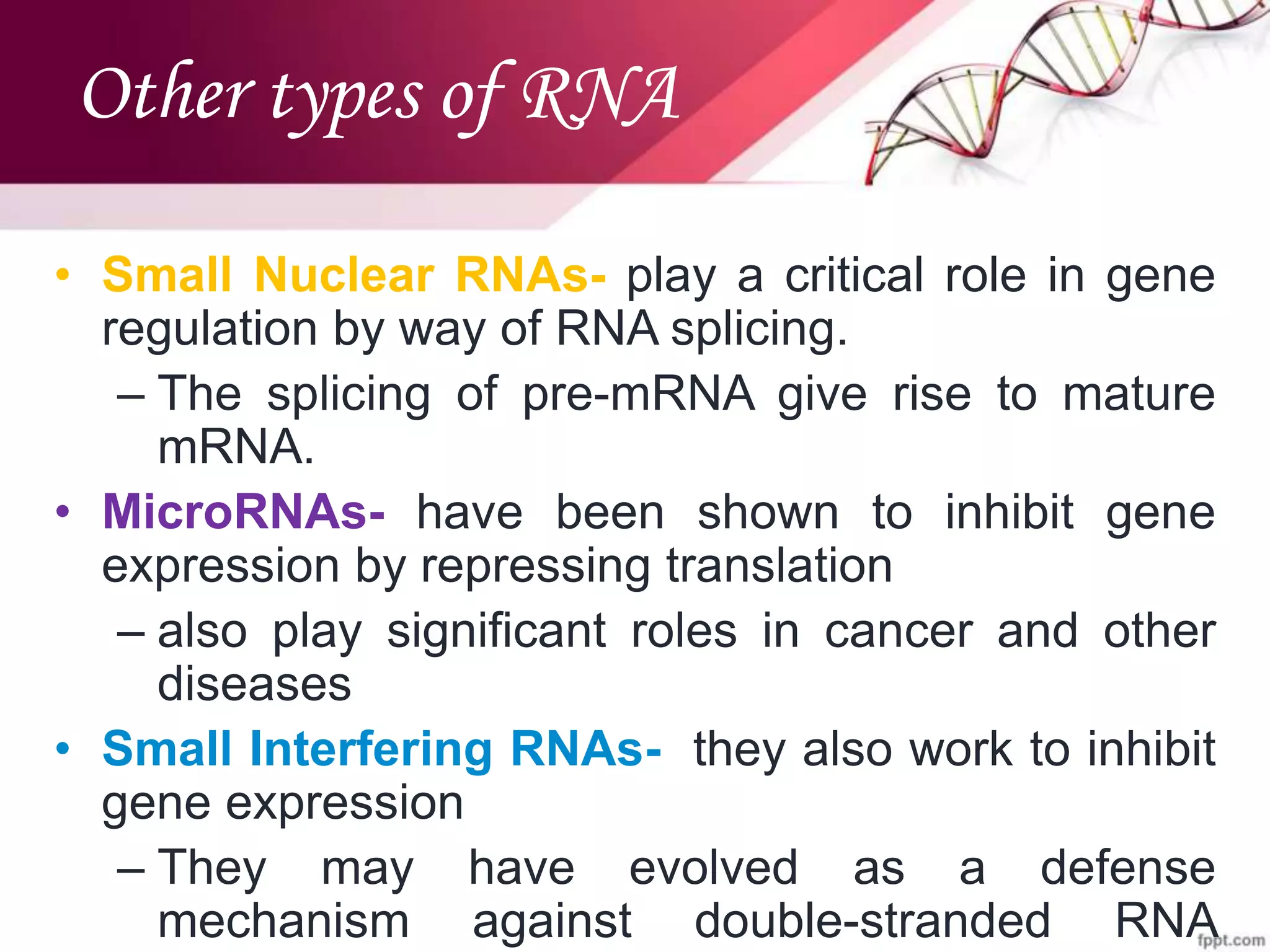 NUCLEIC ACIDS: THE RNA | PPT