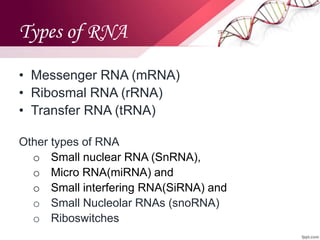 NUCLEIC ACIDS: THE RNA | PPT