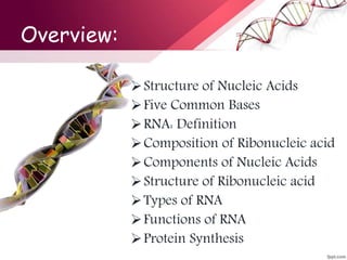NUCLEIC ACIDS: THE RNA | PPT