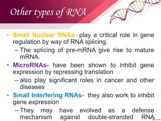 NUCLEIC ACIDS: THE RNA | PPT