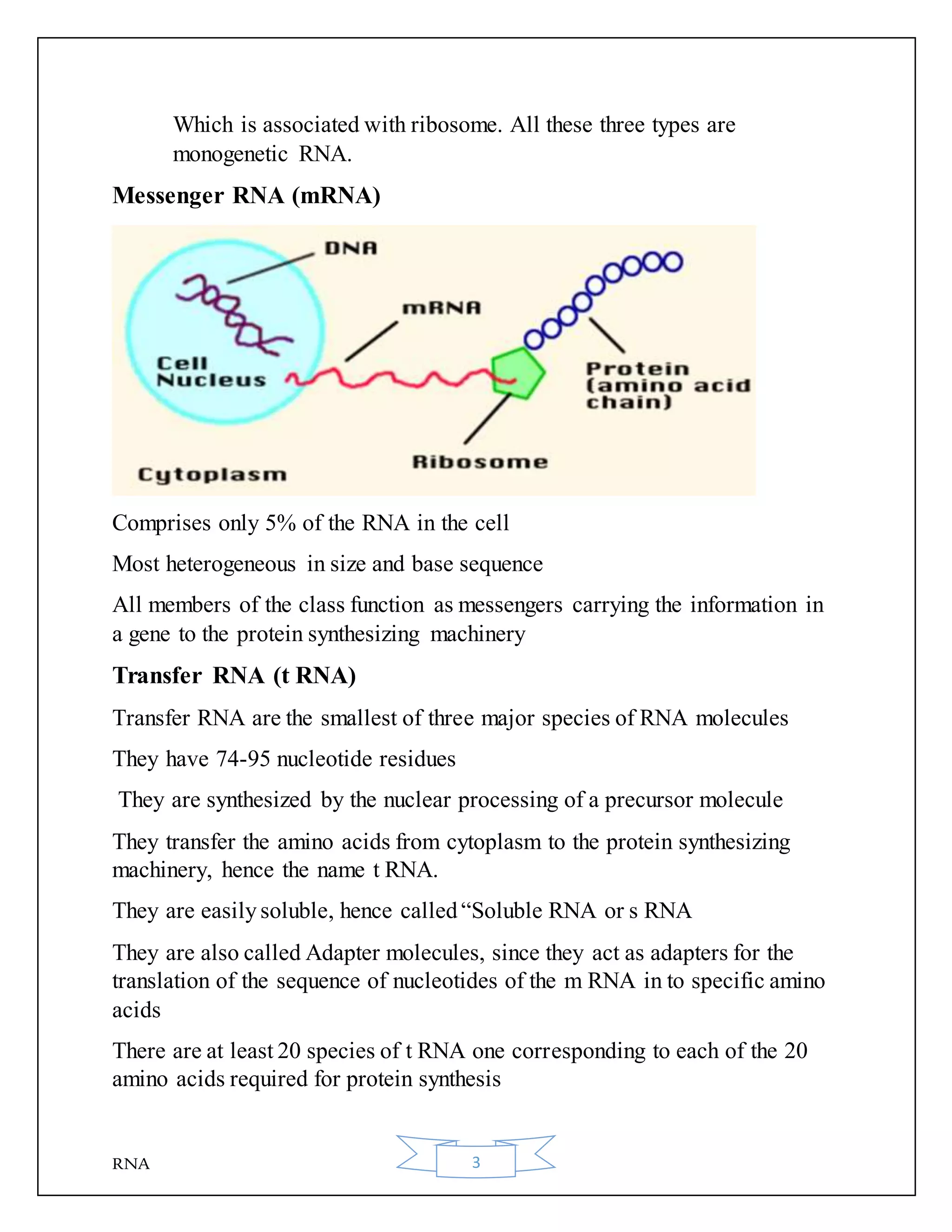 RNA | PDF