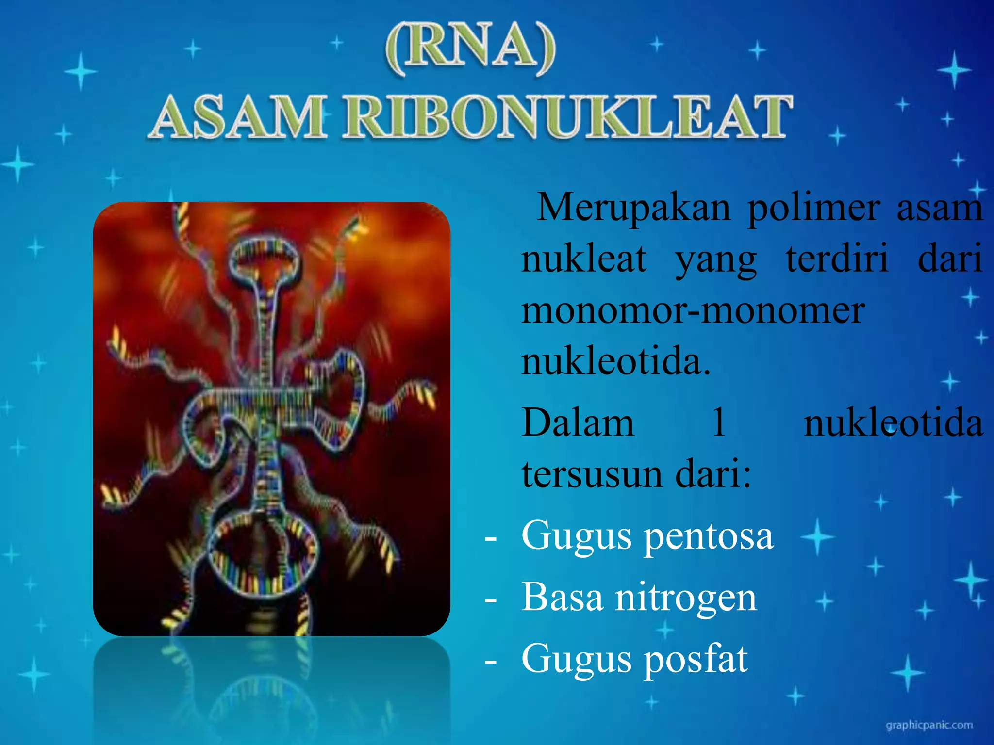RNA | PPT