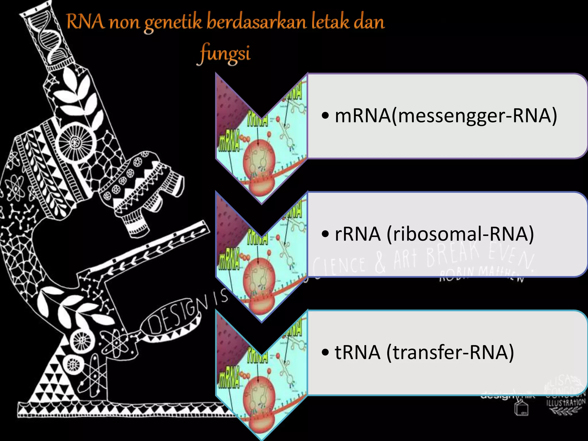 RNA | PPT
