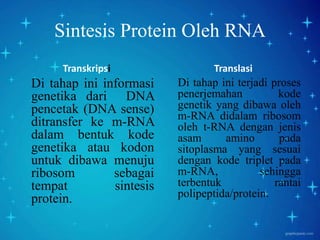 RNA | PPTX
