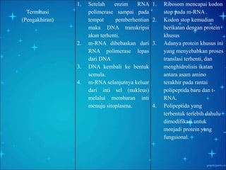 RNA | PPTX