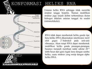 RNA | PPTX