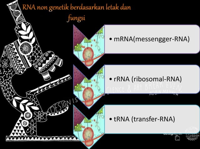 RNA | PPTX