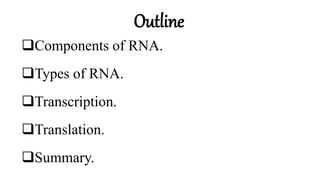 Rna | PPTX | Biological Sciences | Science