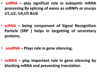MOLECULAR ORGANIZATION OF EKARYOTIC RNA | PPT