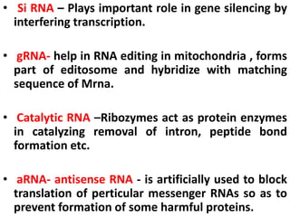 MOLECULAR ORGANIZATION OF EKARYOTIC RNA | PPT