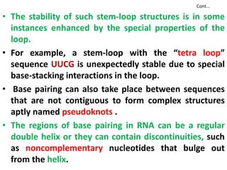 MOLECULAR ORGANIZATION OF EKARYOTIC RNA | PPT