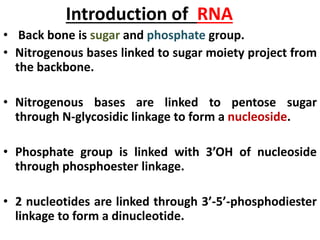 MOLECULAR ORGANIZATION OF EKARYOTIC RNA | PPT