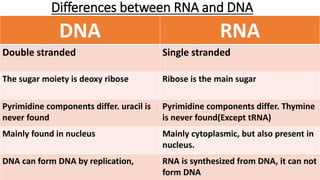 RNA by Puja Ghosh | PPTX