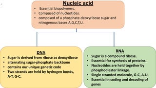 RNA by Puja Ghosh | PPTX