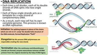 RNA by Puja Ghosh | PPT