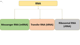 RNA by Puja Ghosh | PPTX