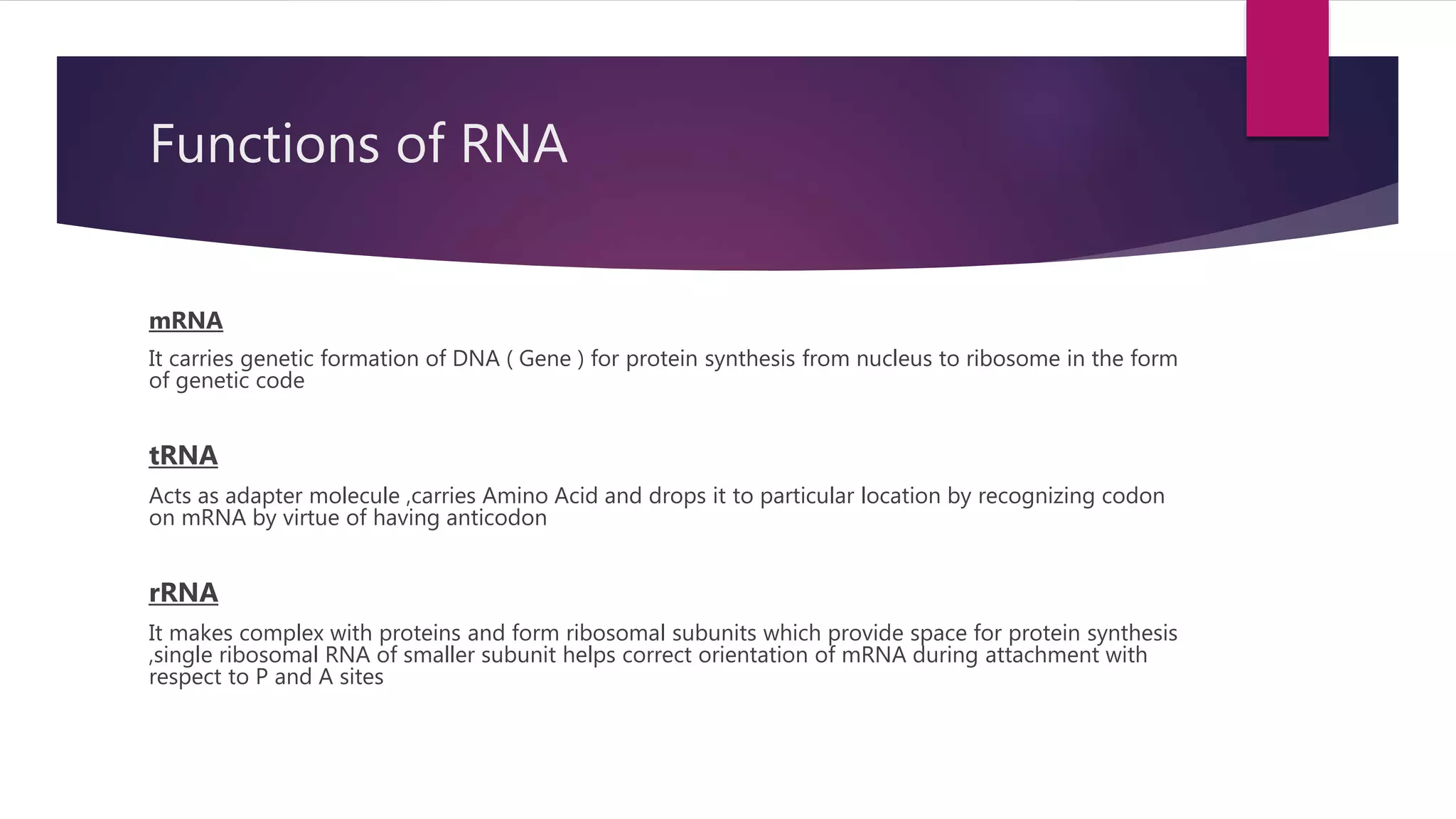 Ribonucleic Acid (RNA) | PPTX